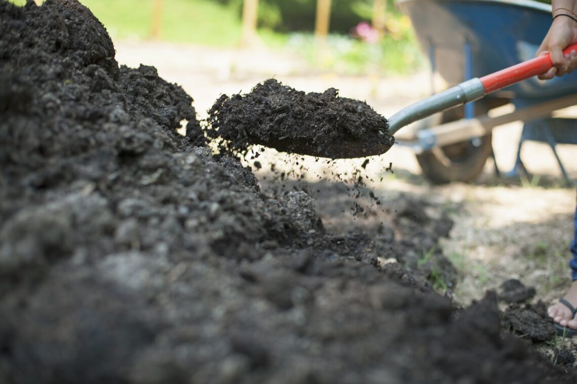 9 concimi da orto | Verde Pisello